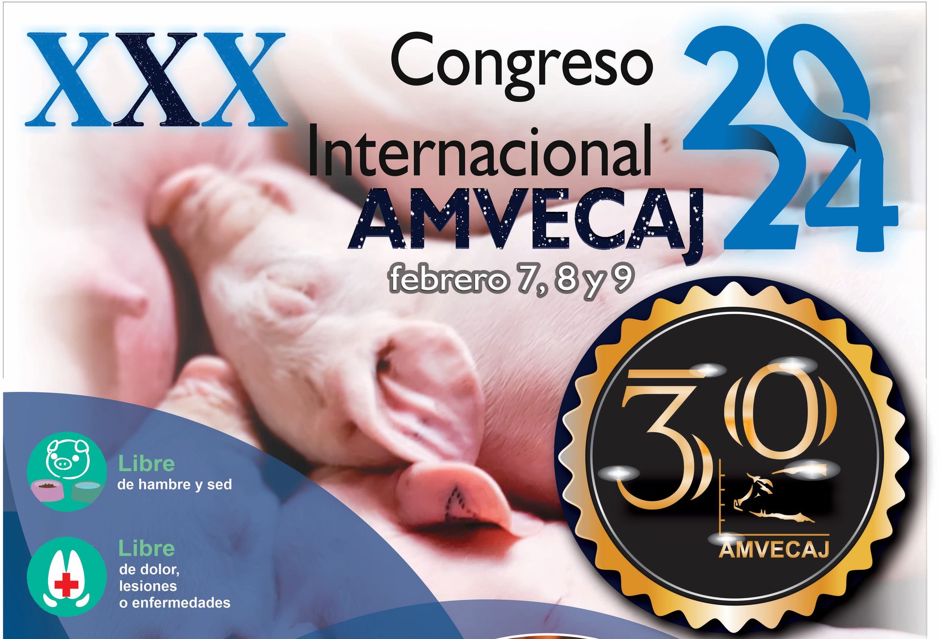 Home | Website AMVECAJ